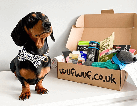 WufWuf | Monthly JOY box for your dog