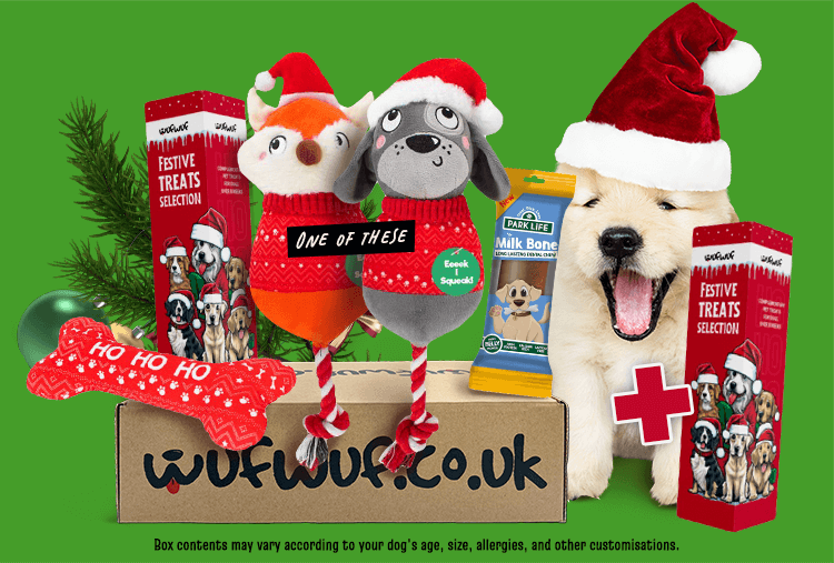 WufWuf - Monthly Dog Toy and Treat Subscription Boxes