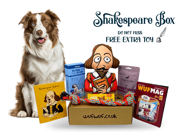 WufWuf | Monthly JOY box for your dog