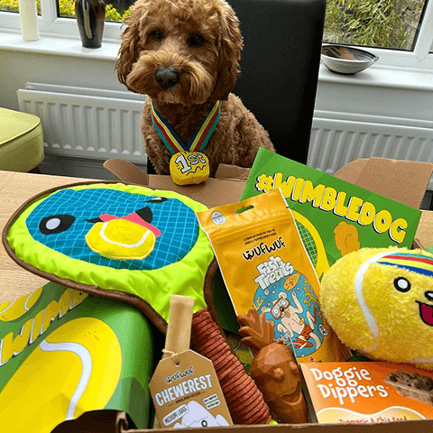 Monthly Dog Toy and Treat subscription boxes| Free Delivery