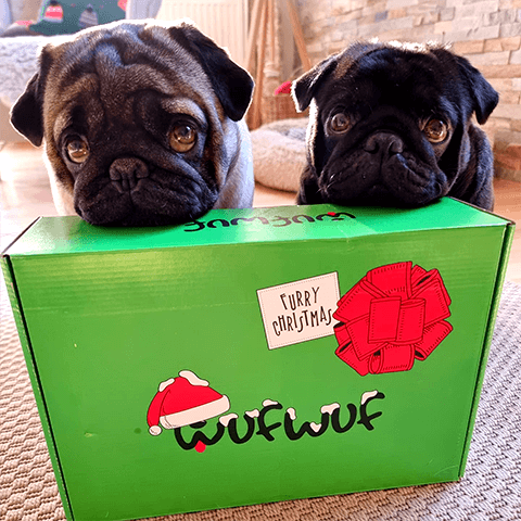 WufWuf - Monthly Dog Toy and Treat Subscription Boxes