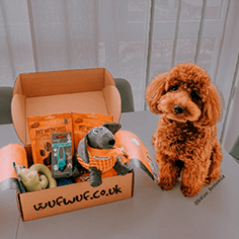 WufWuf | Monthly JOY box for your dog