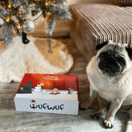 WufWuf | Monthly JOY box for your dog