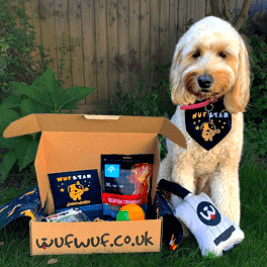 WufWuf | Monthly JOY box for your dog