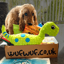 WufWuf | Monthly JOY box for your dog