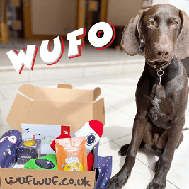 WufWuf | Monthly JOY box for your dog