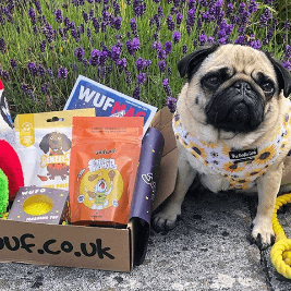 WufWuf | Monthly JOY box for your dog