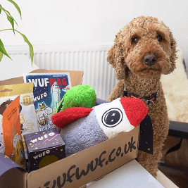 WufWuf | Monthly JOY box for your dog