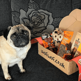 WufWuf | Monthly JOY box for your dog
