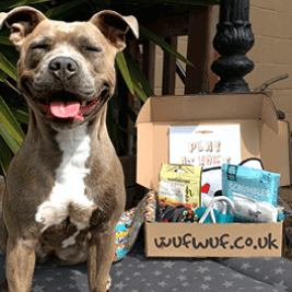 WufWuf | Monthly JOY box for your dog